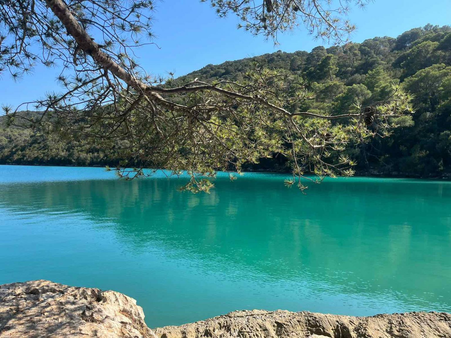 Mljet Trail - prilika za posjetiti NP Mljet u bablje ljeto - Javna ...